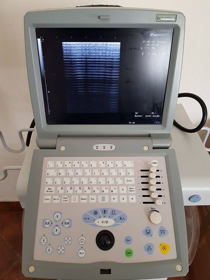 USG Emperor z głowicą rektalną przenośny EMP 820 v - 7184106753 ...