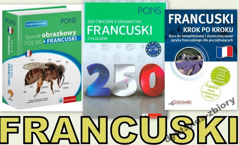 FRANCUSKI Słownik 250 ćwiczeń Krok po kroku z CD - 5764250607 - oficjalne archiwum Allegro